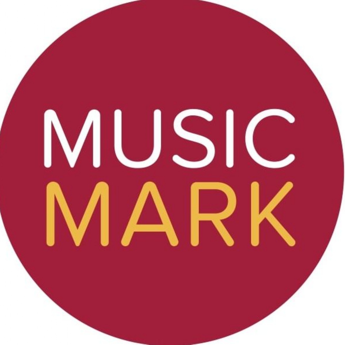 Blaby Stokes CE Primary School - Music Mark Awarded